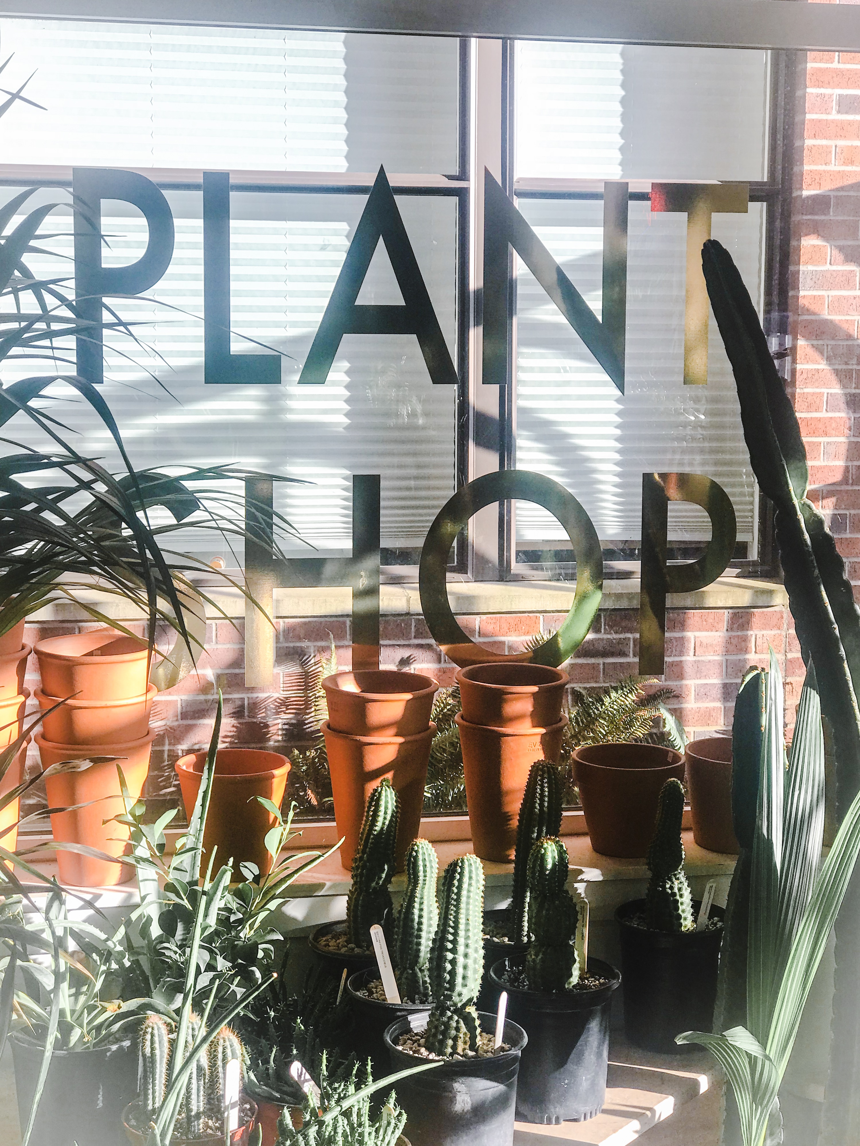 The-plant-shop-seattle - Johnson & Walker